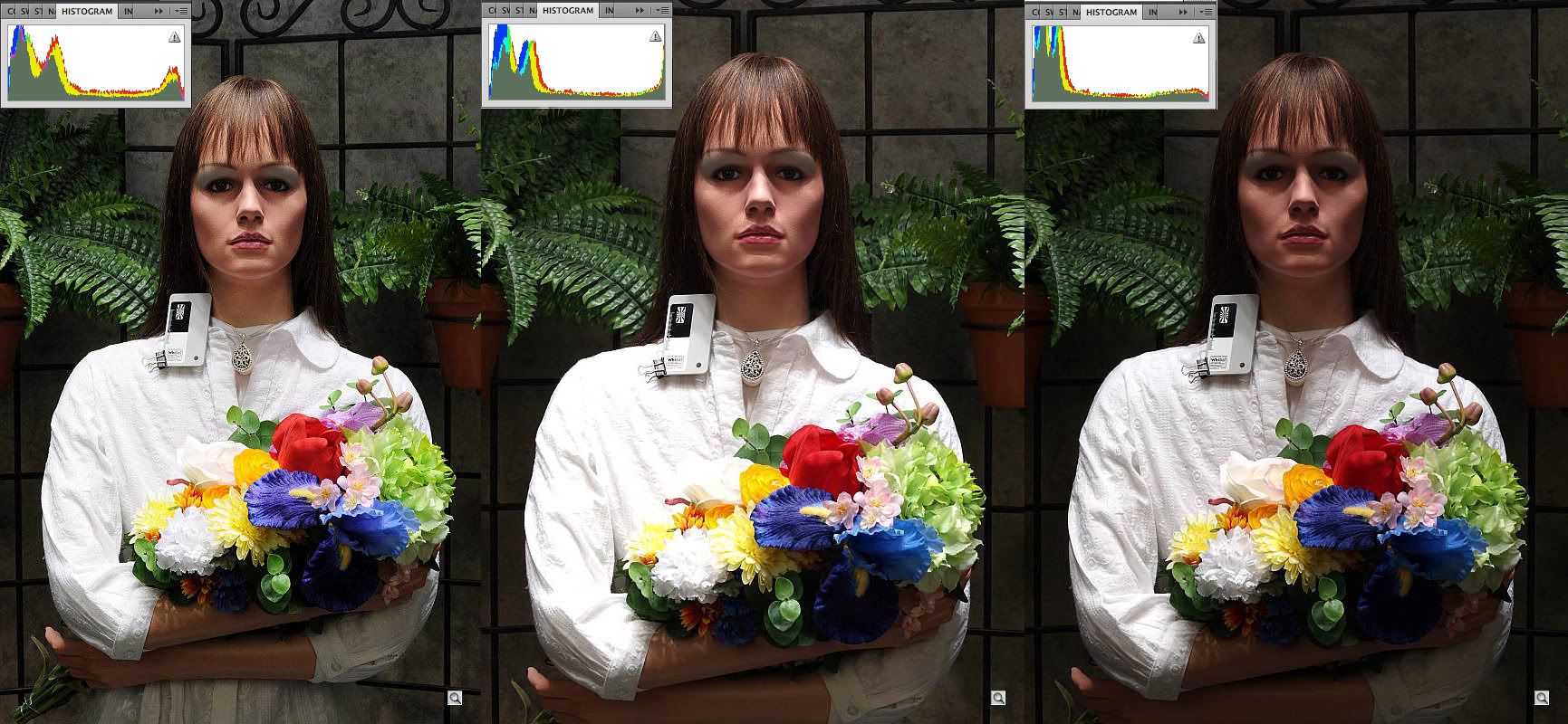 (P)review imaging-resource EP-1, high ISO compared with DSLR's | Page 4 | DPReview Forums