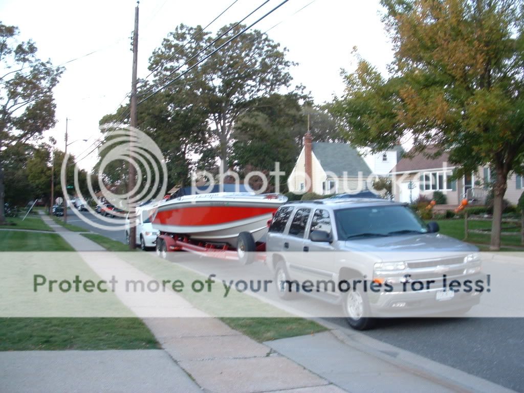 Frank Mole Shoutout!!! (another one)