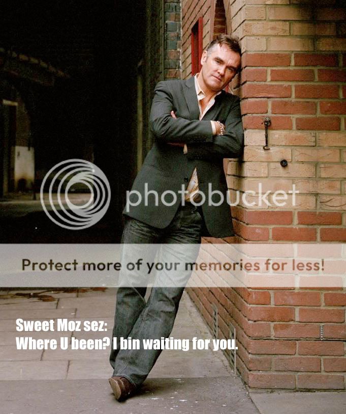 Moz Meme... aka "LOLMozzers" Thread | Page 9 | Morrissey-solo