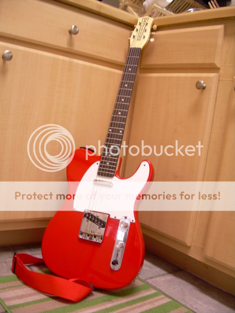 Has anyone put a Danelectro neck on another guitar - Electric Guitars ...