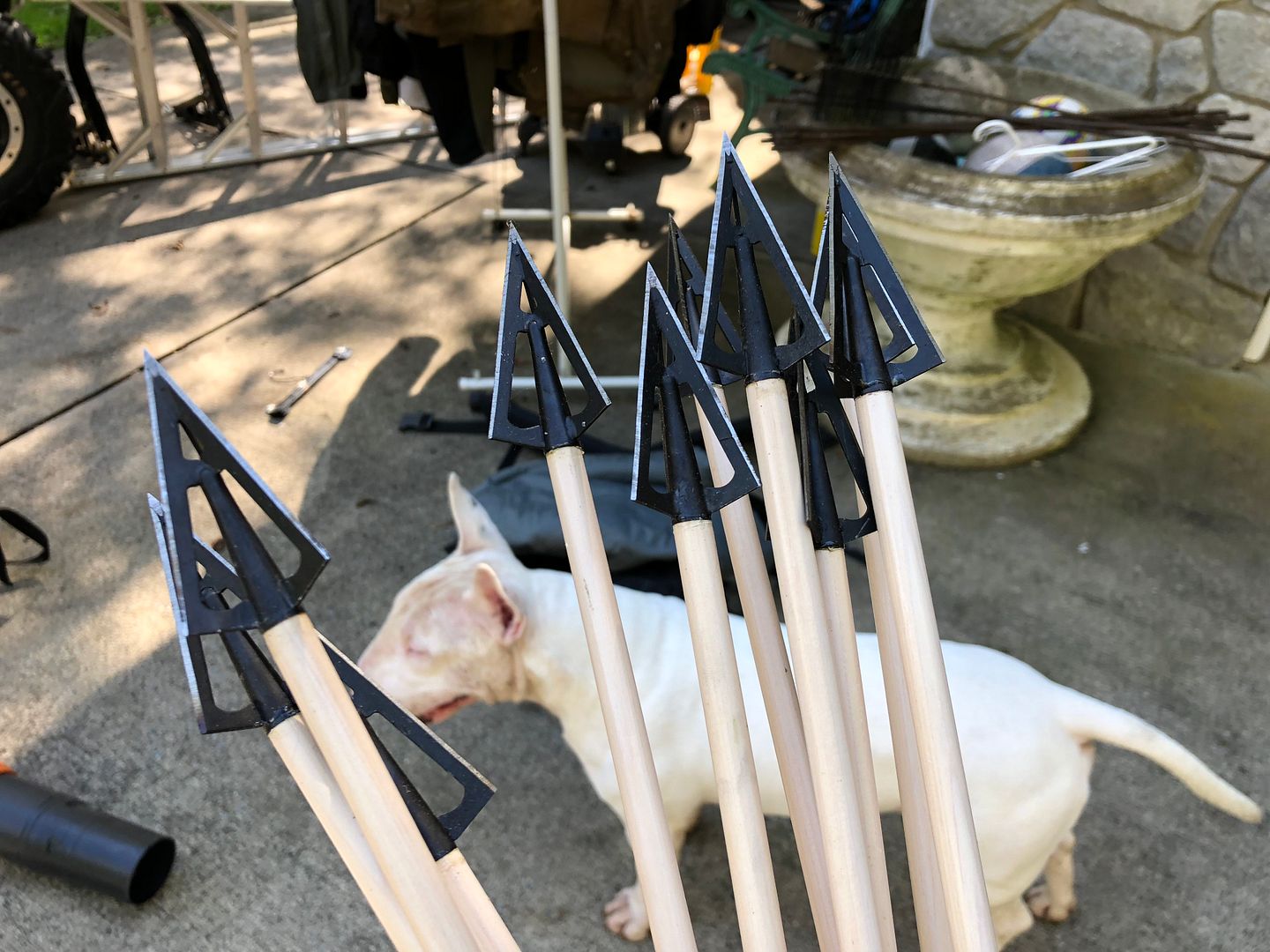 Snuffer find | Archery Talk Forum