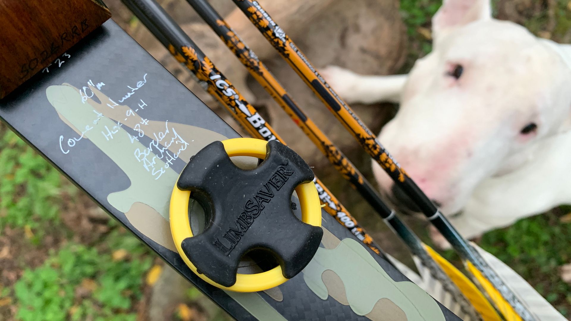 Border Hex 9 | Archery Talk Forum