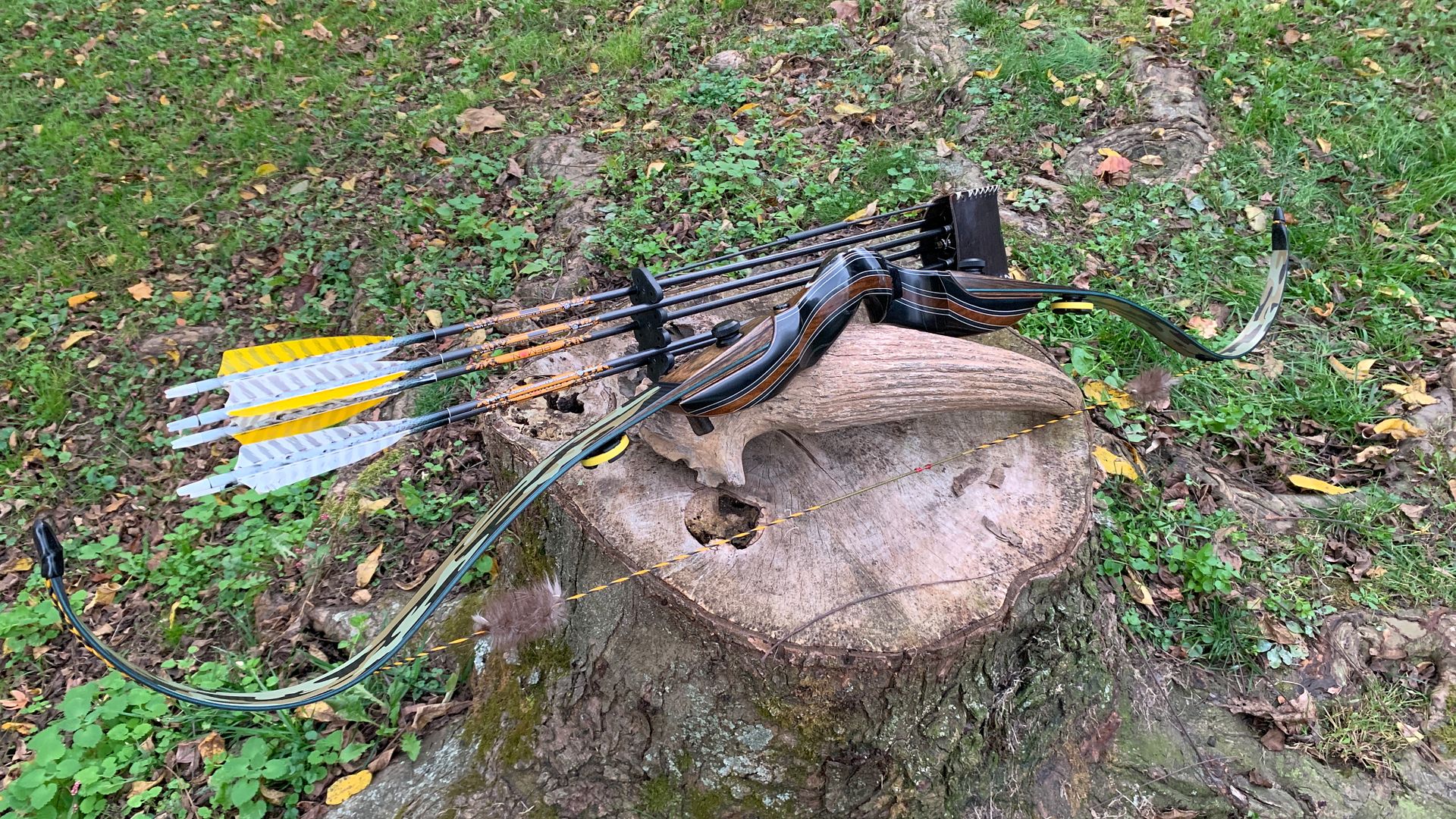 Border Hex 9 | Archery Talk Forum