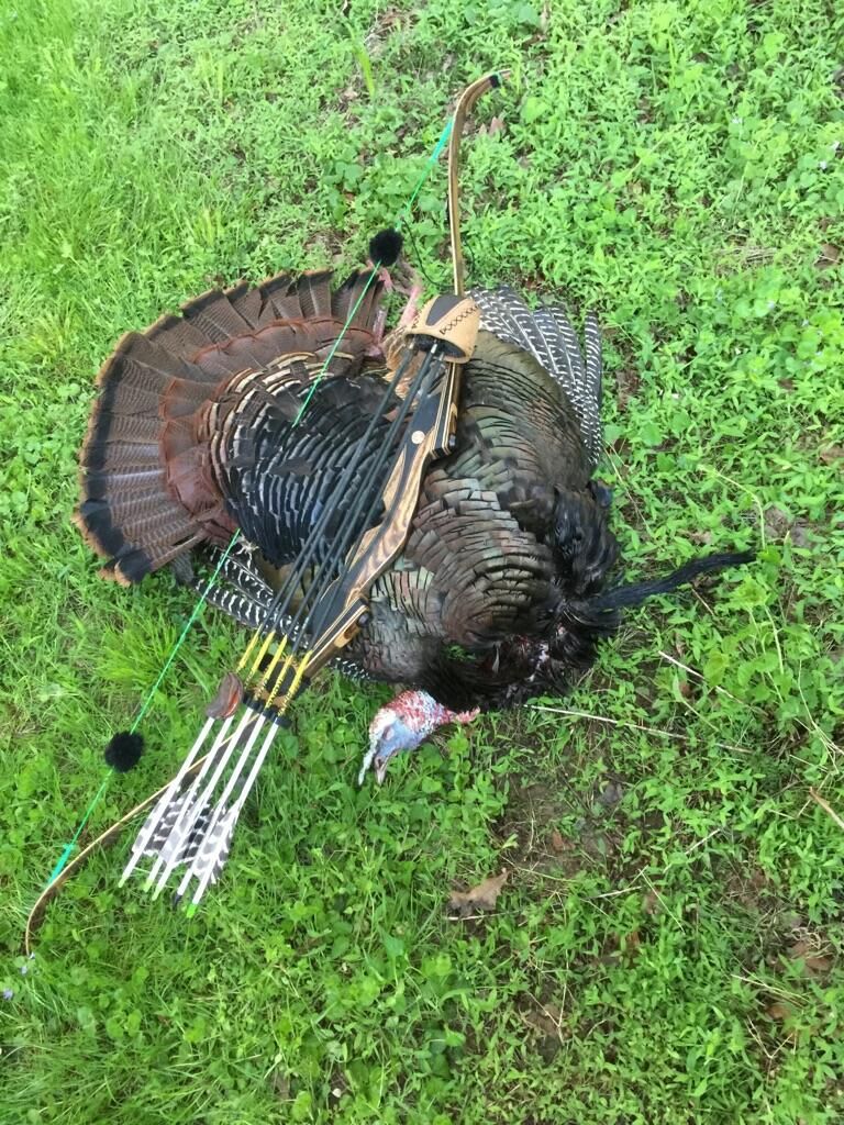 Congrats George Johnson On Bird | Archery Talk Forum
