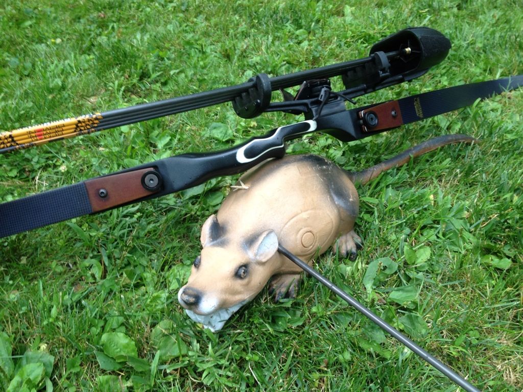 Rat Extermination | Archery Talk Forum