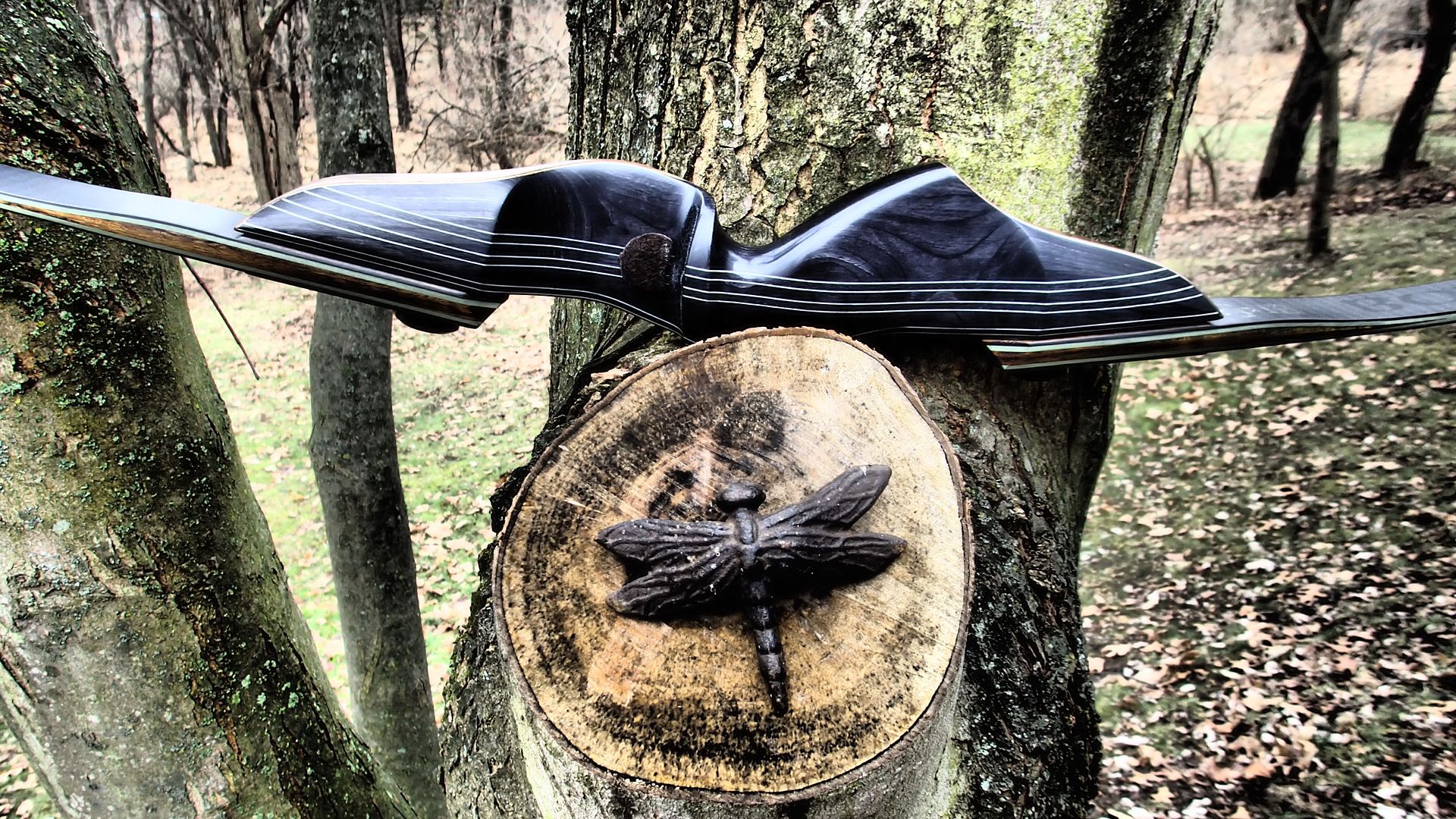 Border Archery Revisting The Raptor & The Covert Hunter | Archery Talk ...