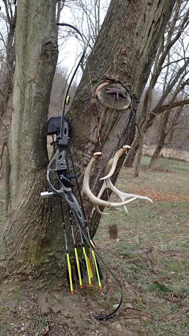 Border archery 19 inch tempest | Archery Talk Forum