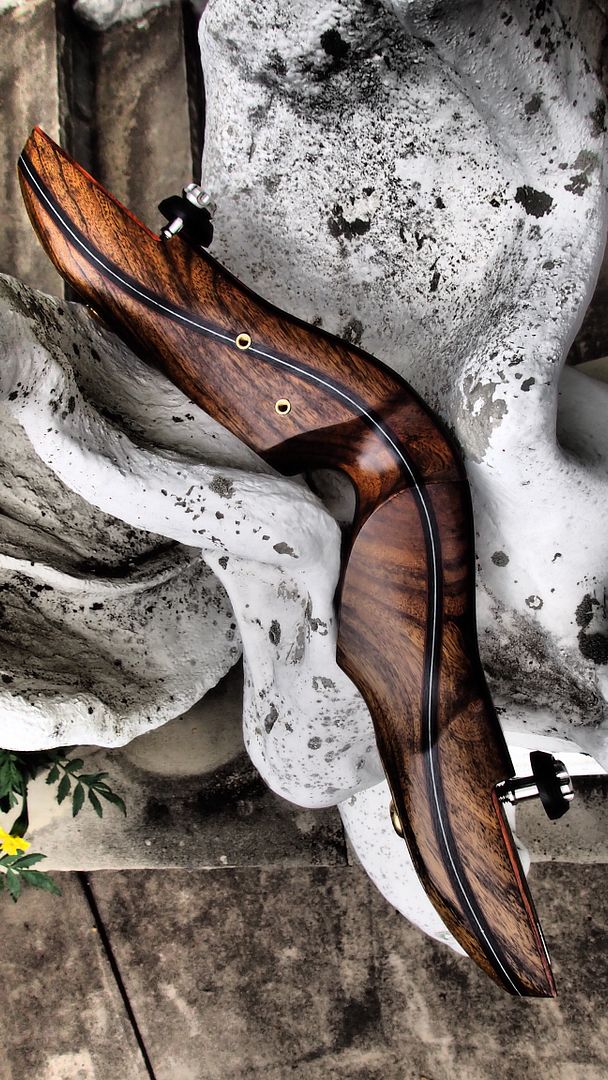 Border archery prototype ilf ch riser hex7 limbs | Archery Talk Forum