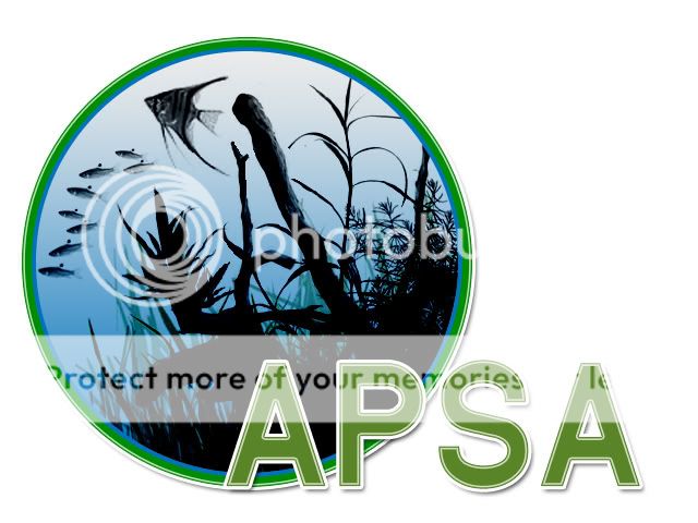 Logo Suggestions | APSA