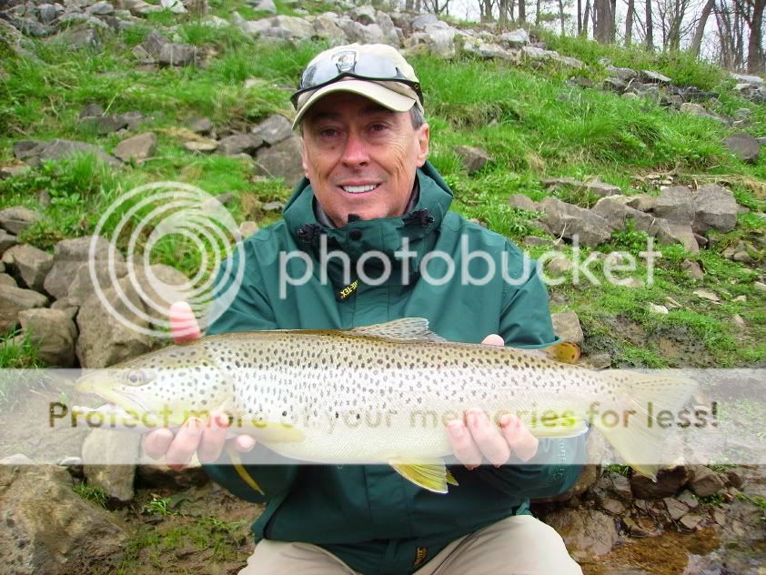Brown Trout Colors – The Ozark Fly Fisher Journal
