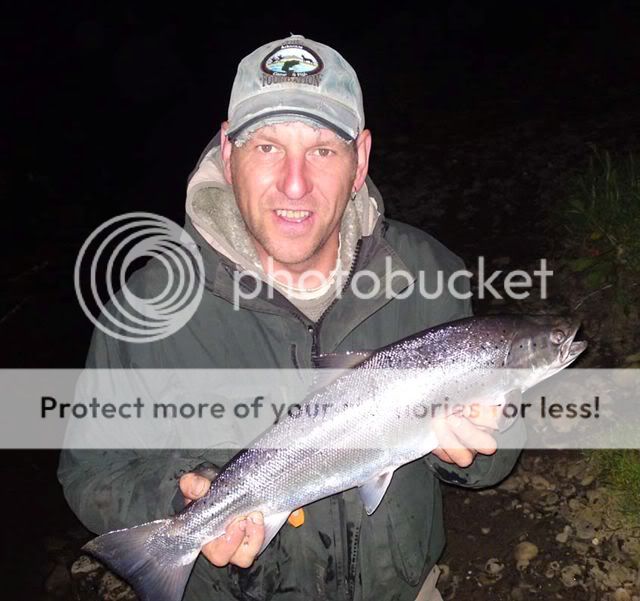 Sea Run Silver – The Ozark Fly Fisher Journal