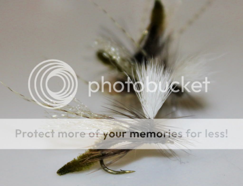 Caddis Fly Opus 2011 _ The Dry Fly – The Ozark Fly Fisher Journal