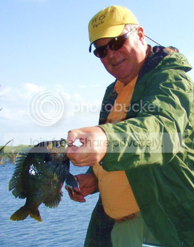 “The Most Important Fish That Swim” – Bluegill Appreciation Society ...