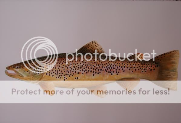 Turn You Trophy Into A Masterpiece – The Ozark Fly Fisher Journal